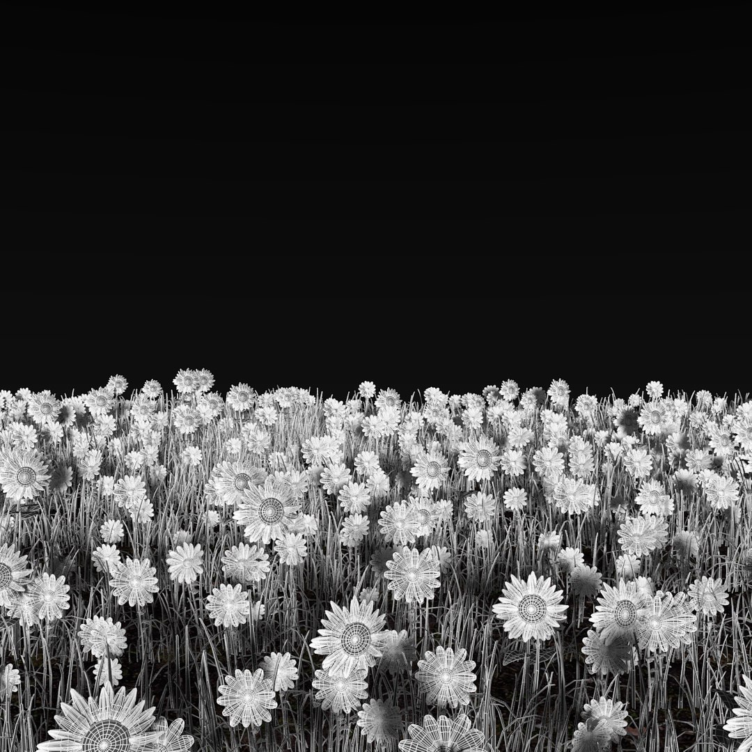 Field Flowers 3d Obj
