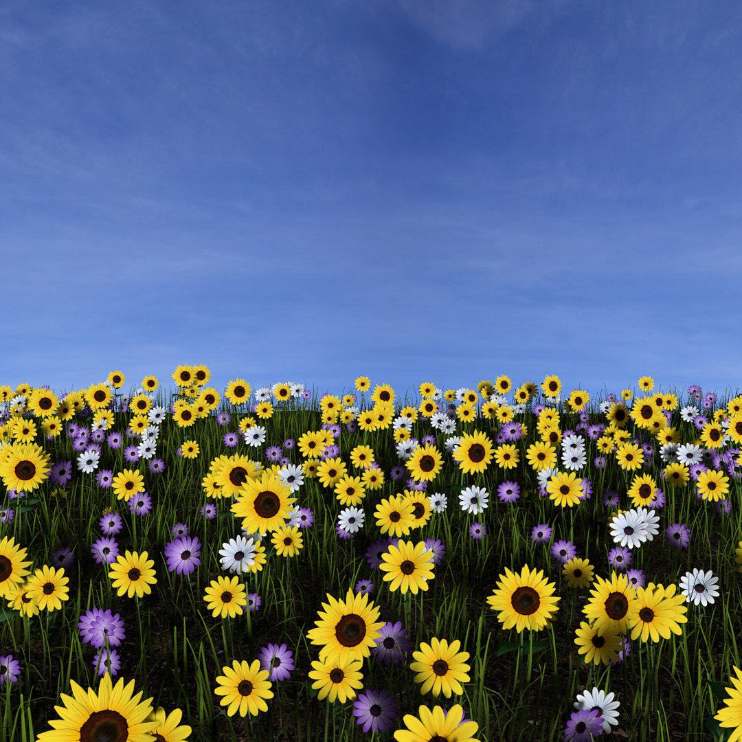 Field Flowers 3d Obj