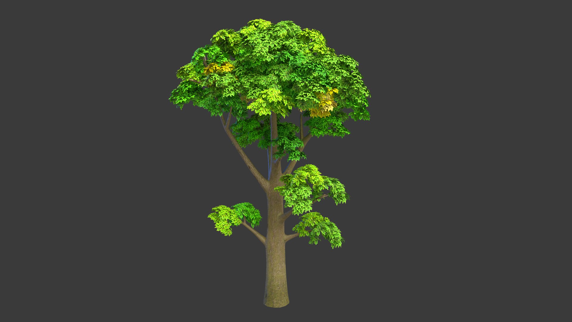 Tree Forest Plant 3D - TurboSquid 1897537