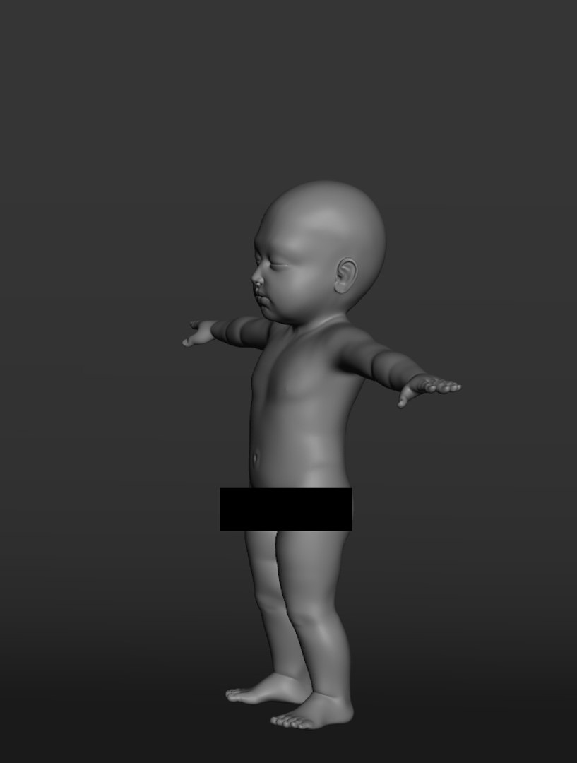 3d model infant anatomy