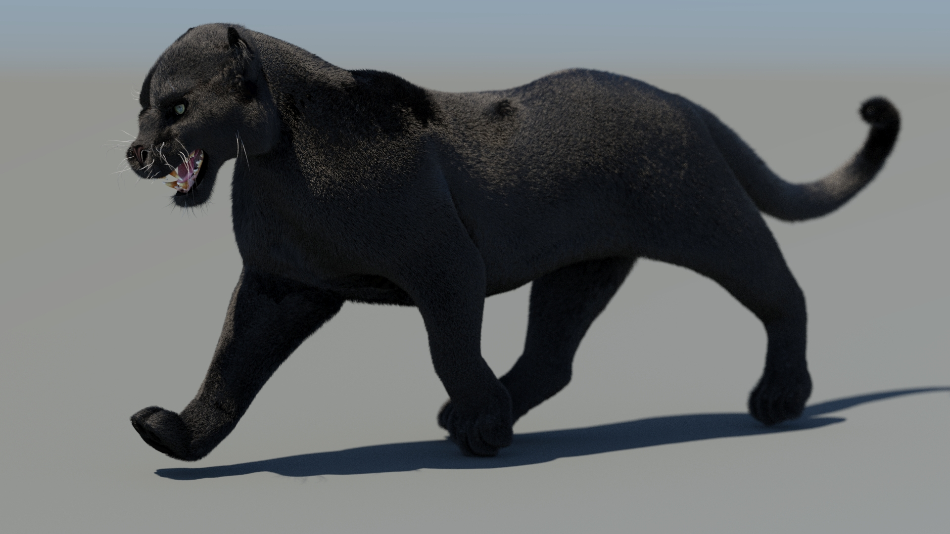 Animated Black Panther 3D Model with Fur Modelo 3D - TurboSquid 2103929