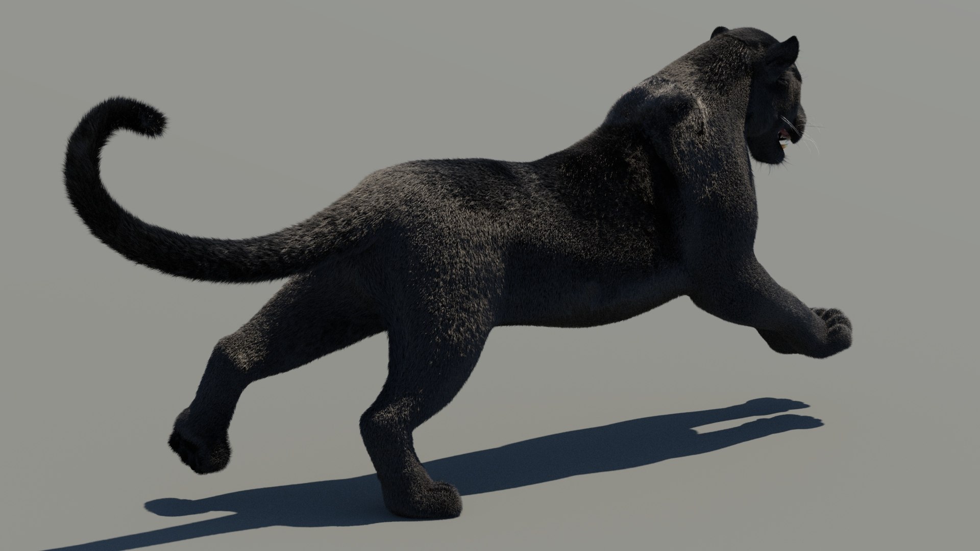 3D Animated Black Panther 3D Model with Fur model - TurboSquid 2103929