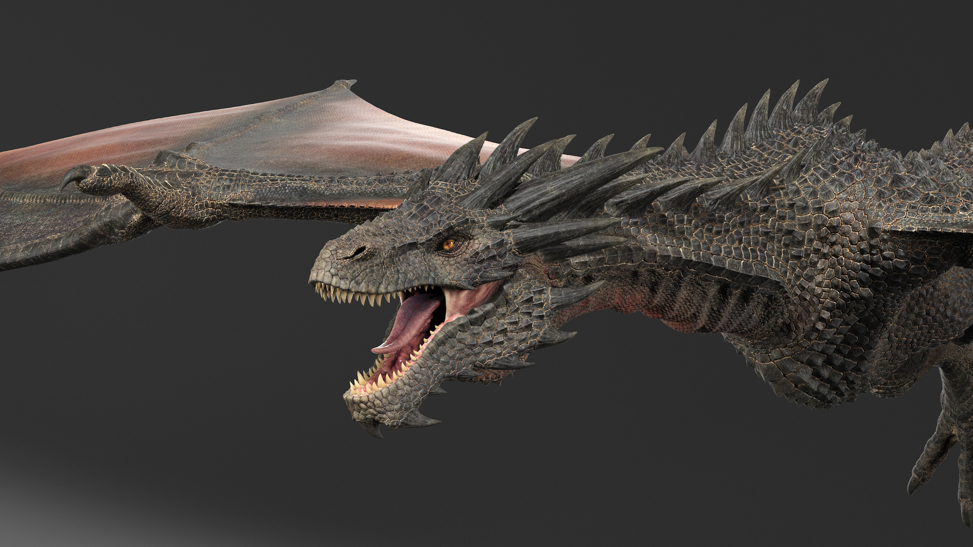 3D dragon rig black - TurboSquid 1569384