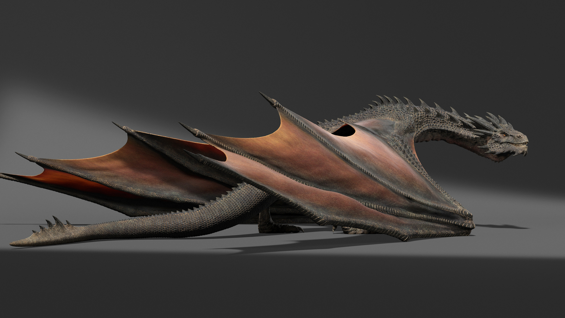 3D dragon rig black - TurboSquid 1569384