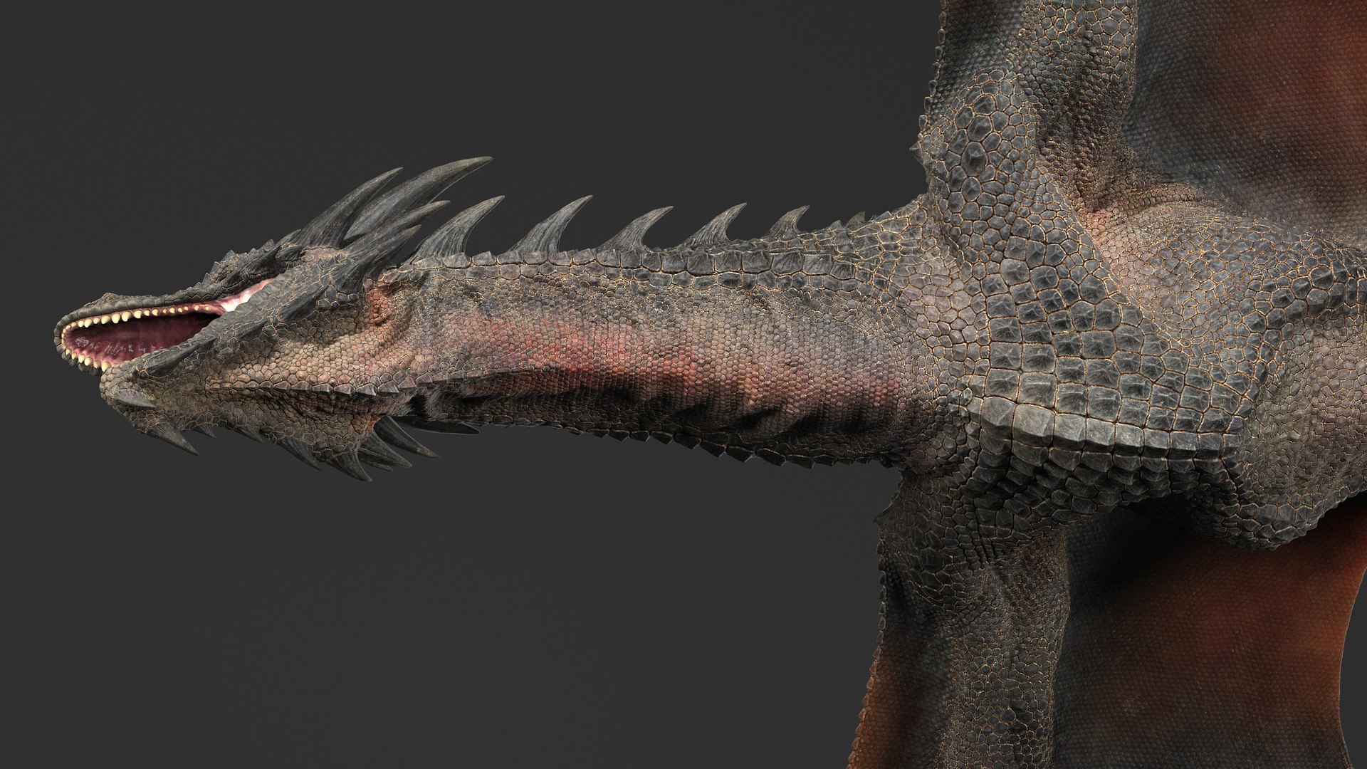 3D dragon rig black - TurboSquid 1569384