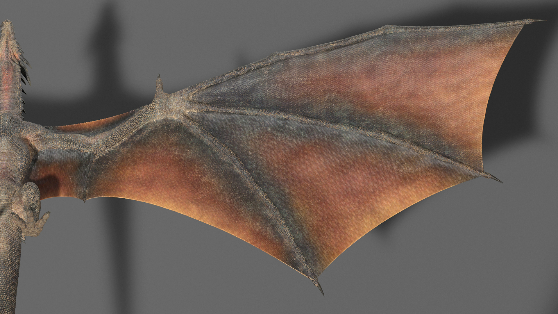 3D dragon rig black - TurboSquid 1569384