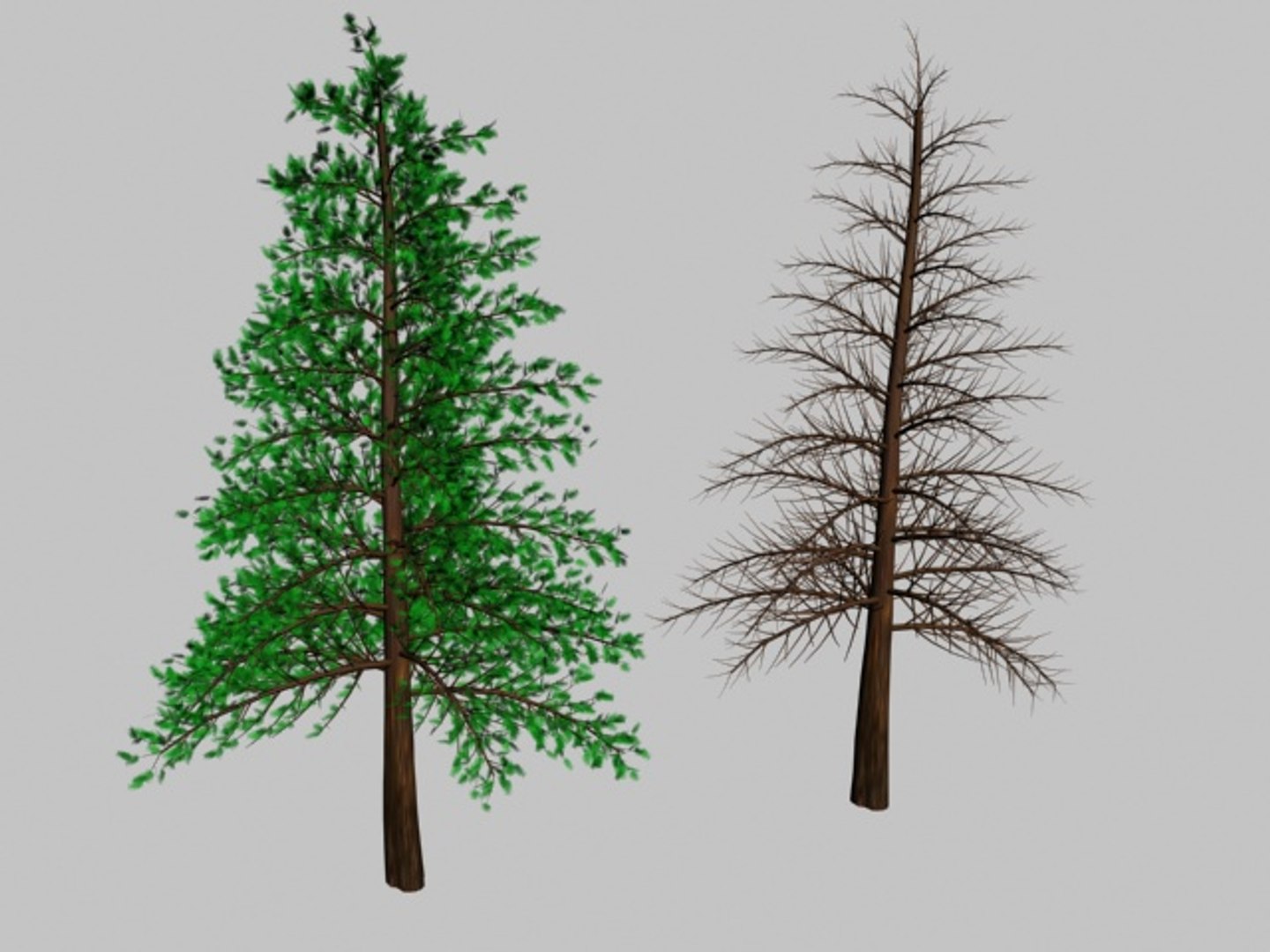 3ds max pine tree