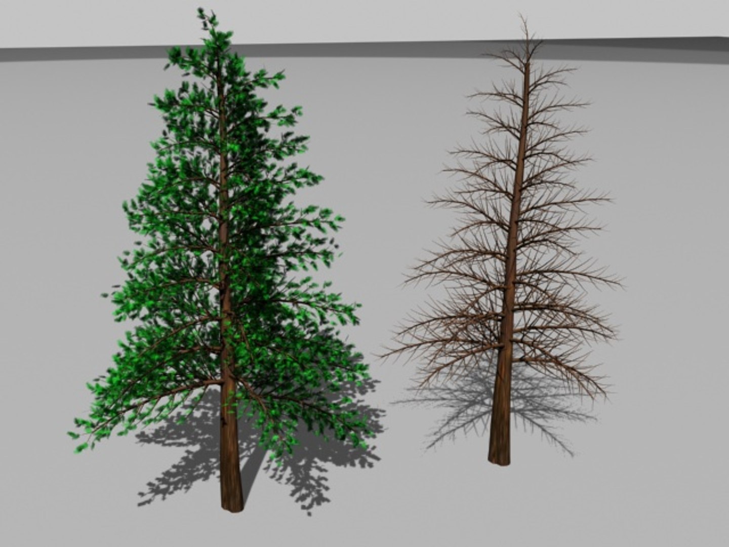 3ds max pine tree