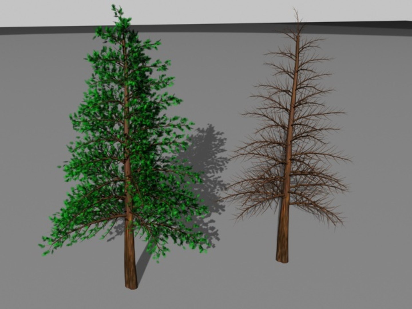 3ds max pine tree