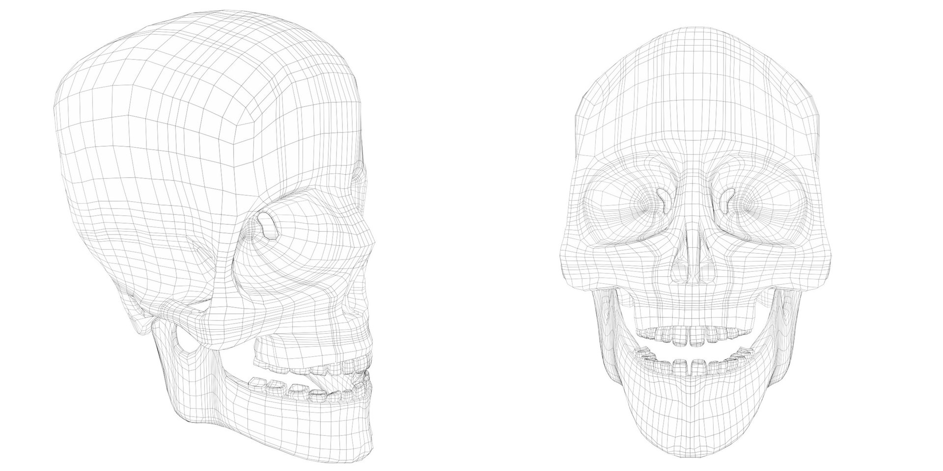 Pbr Uv-textured Human Skull 3d Model