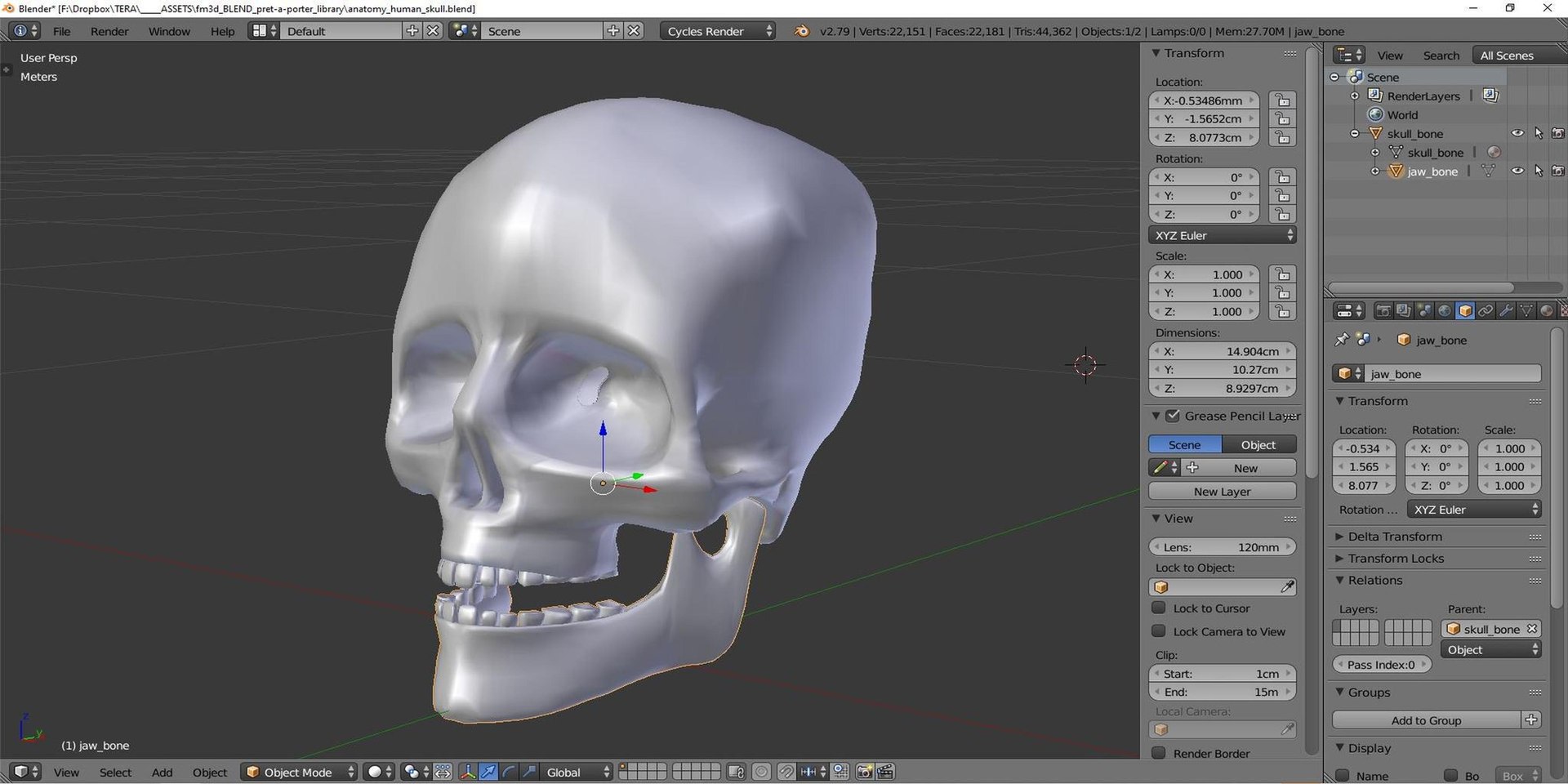 Pbr Uv-textured Human Skull 3d Model