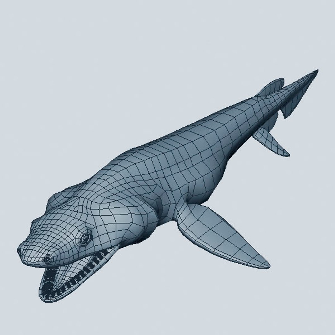 3d shark
