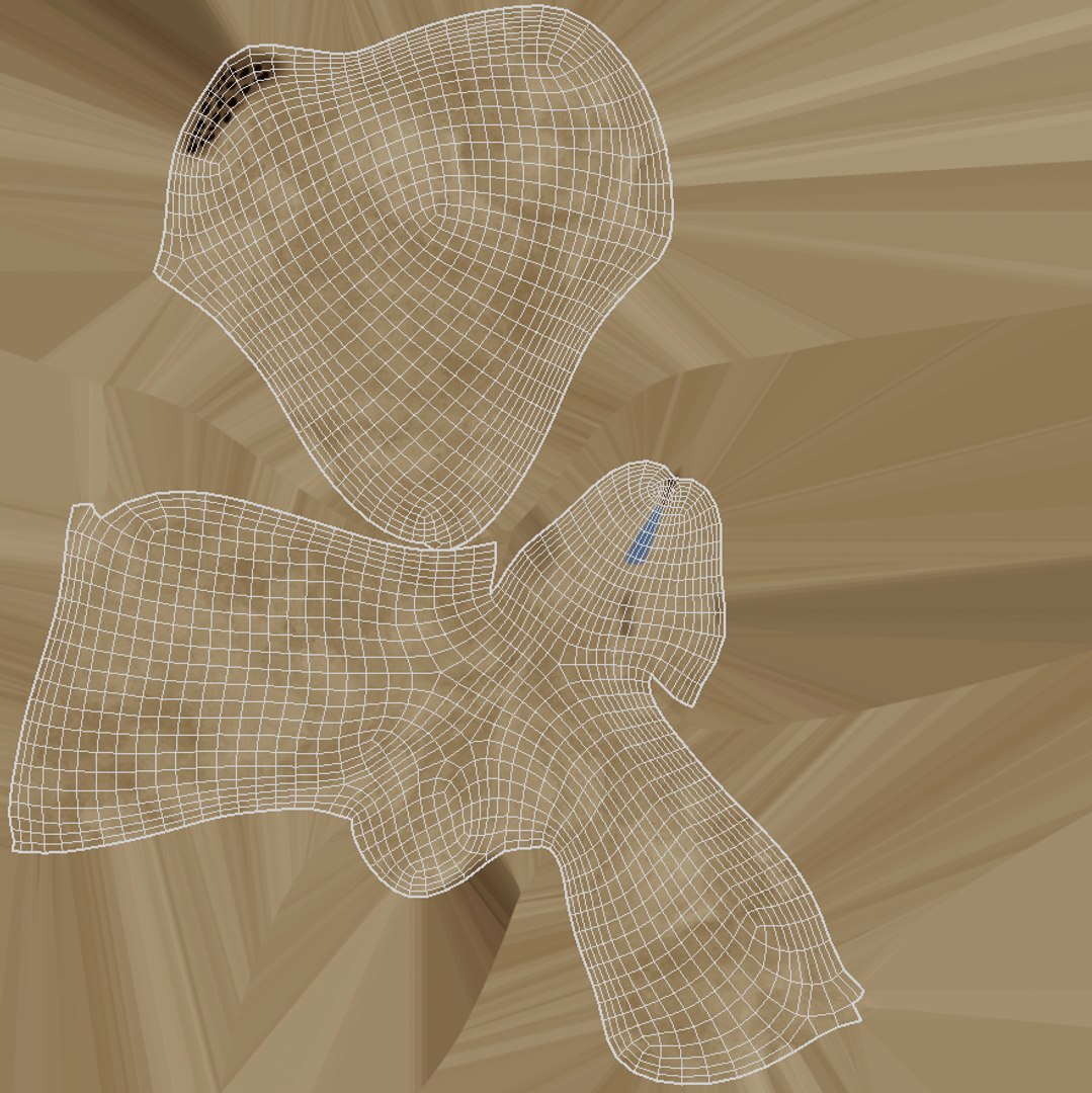 Human Anatomy-Upper Limb Shoulder 3D Model - TurboSquid 2229785