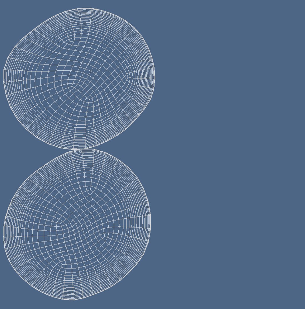 Human Anatomy-Upper Limb Shoulder 3D Model - TurboSquid 2229785