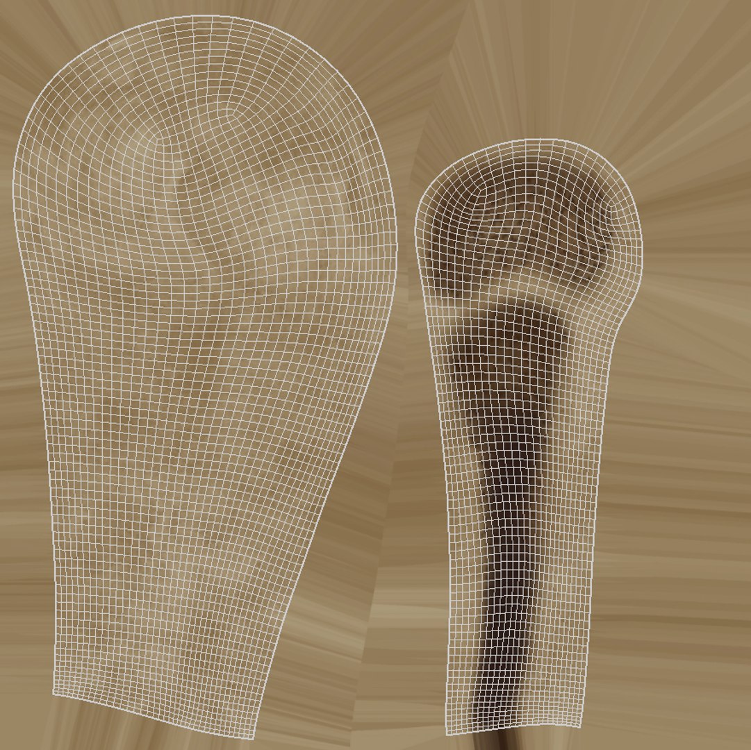 Human Anatomy-Upper Limb Shoulder 3D Model - TurboSquid 2229785