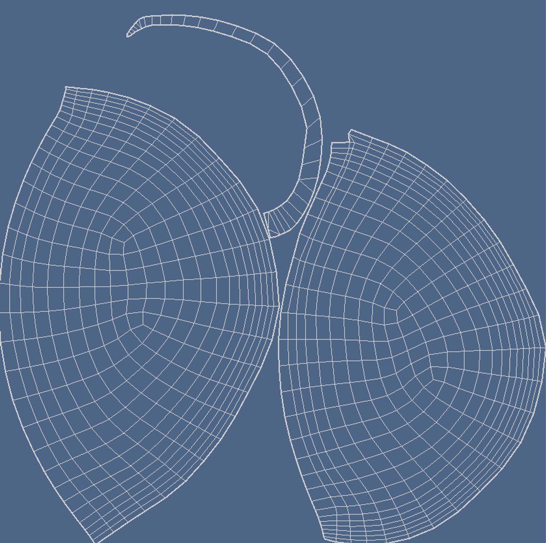 Human Anatomy-Upper Limb Shoulder 3D Model - TurboSquid 2229785