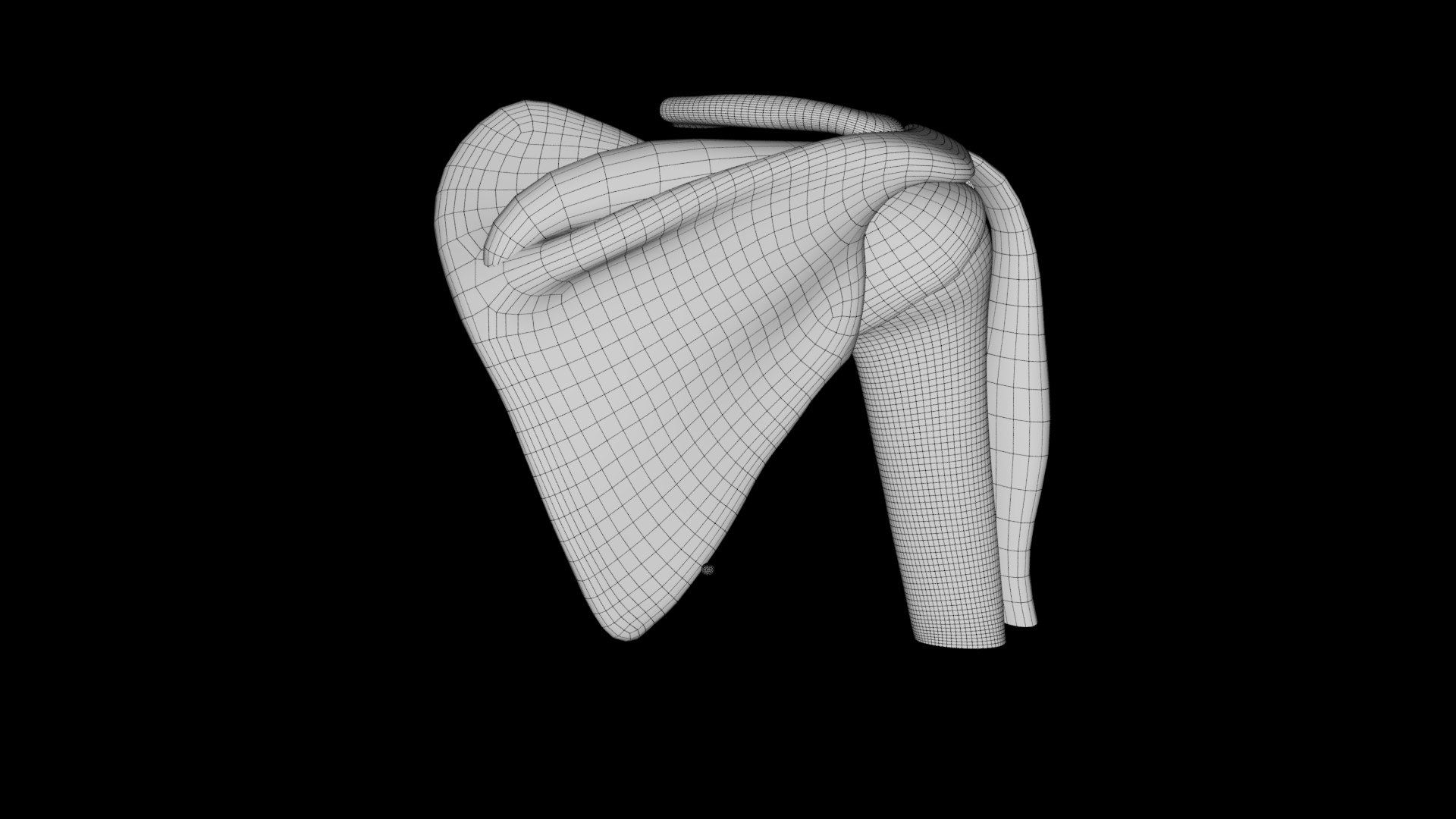 Human Anatomy-Upper Limb Shoulder 3D Model - TurboSquid 2229785