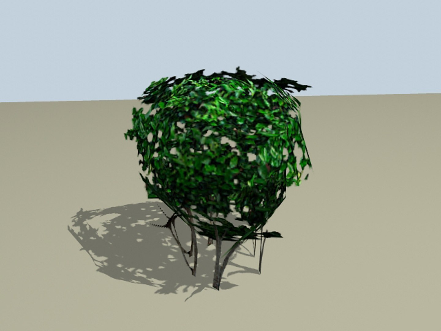Small Bush 3d Obj