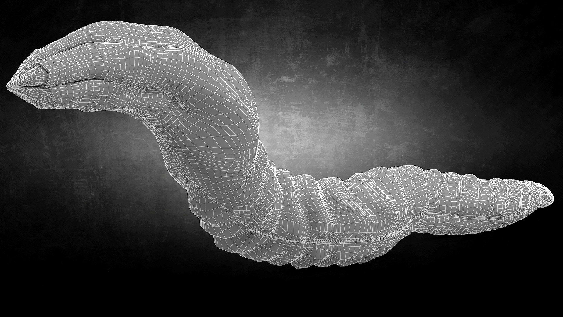 Free Free Worm Monster 3D - TurboSquid 2066576