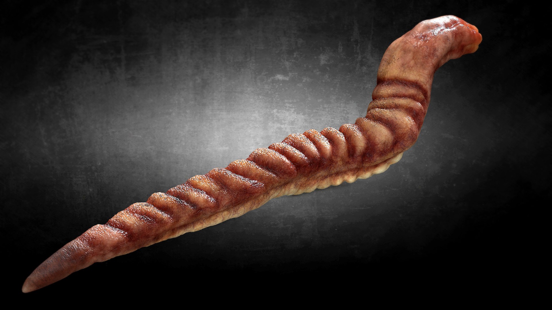 Free Free Worm Monster 3D - TurboSquid 2066576