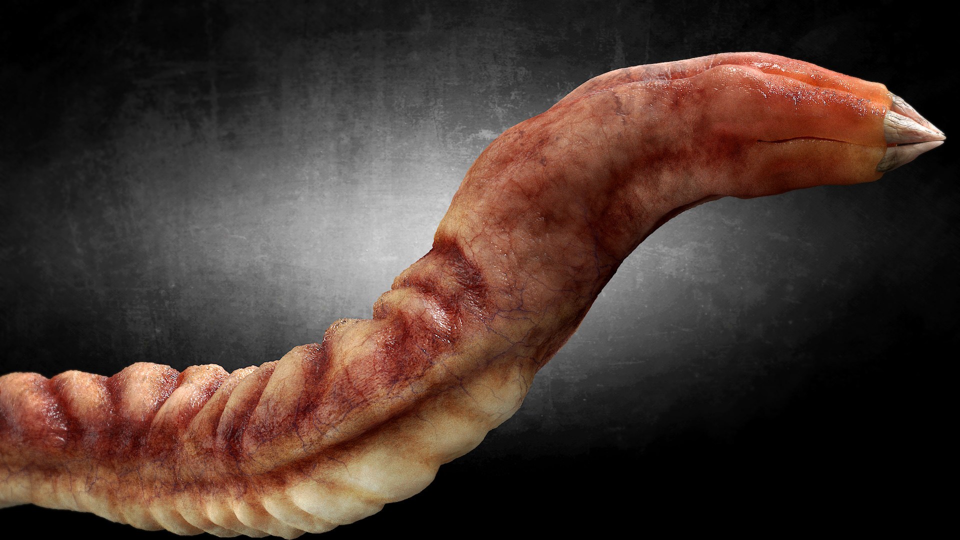 Free Free Worm Monster 3D - TurboSquid 2066576