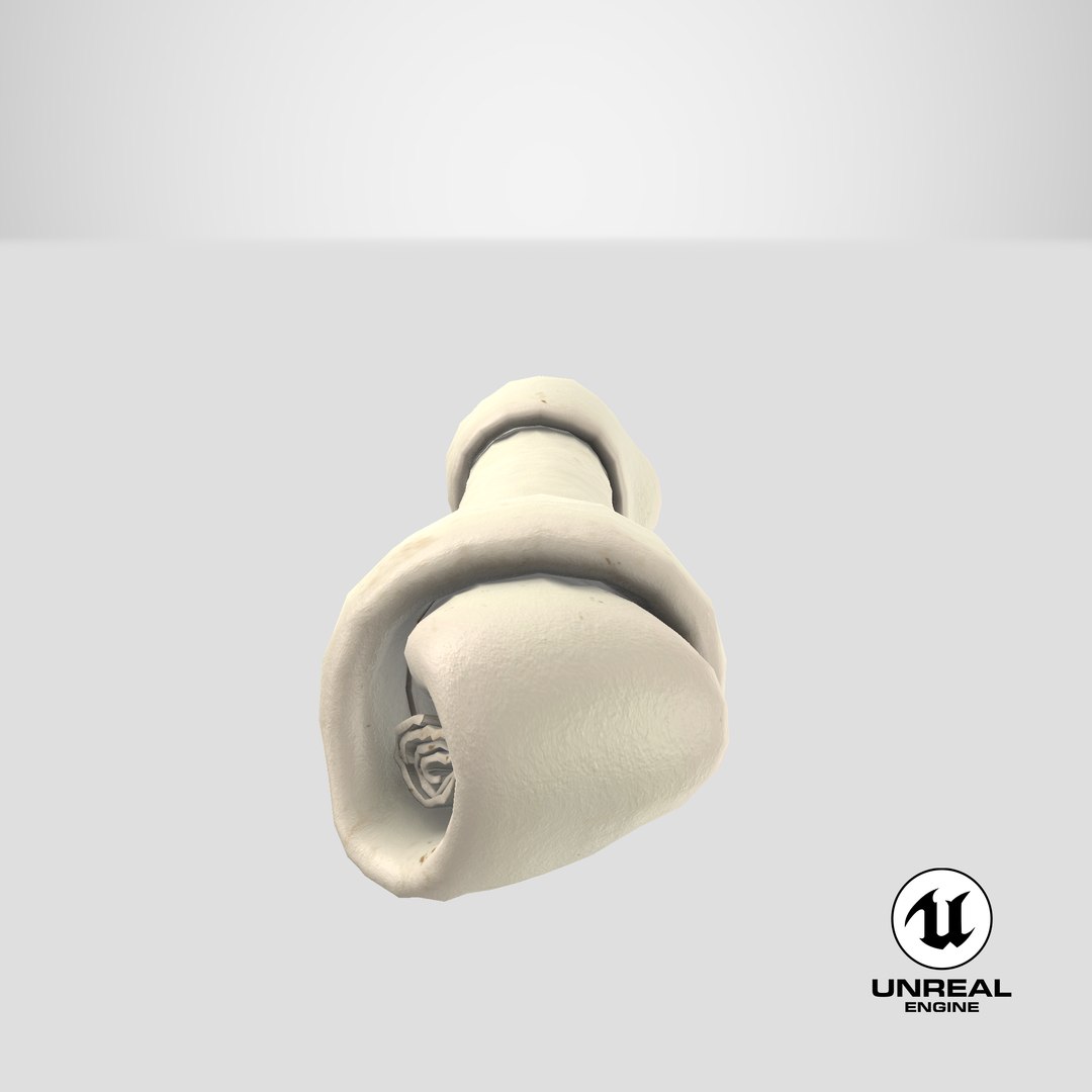 3D Model Raw Hide Bone 01 - TurboSquid 1153419