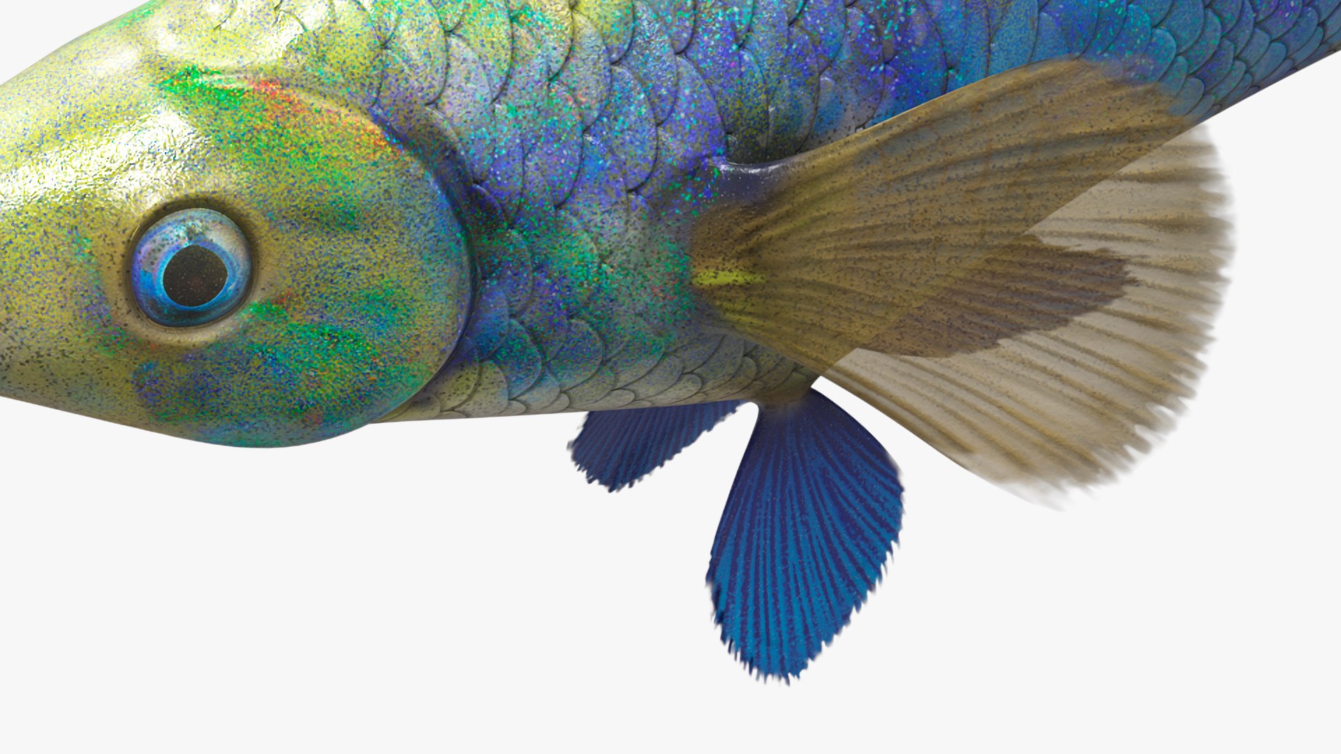 3D Guppy Fish Blue Diamond Rigged - TurboSquid 2270277