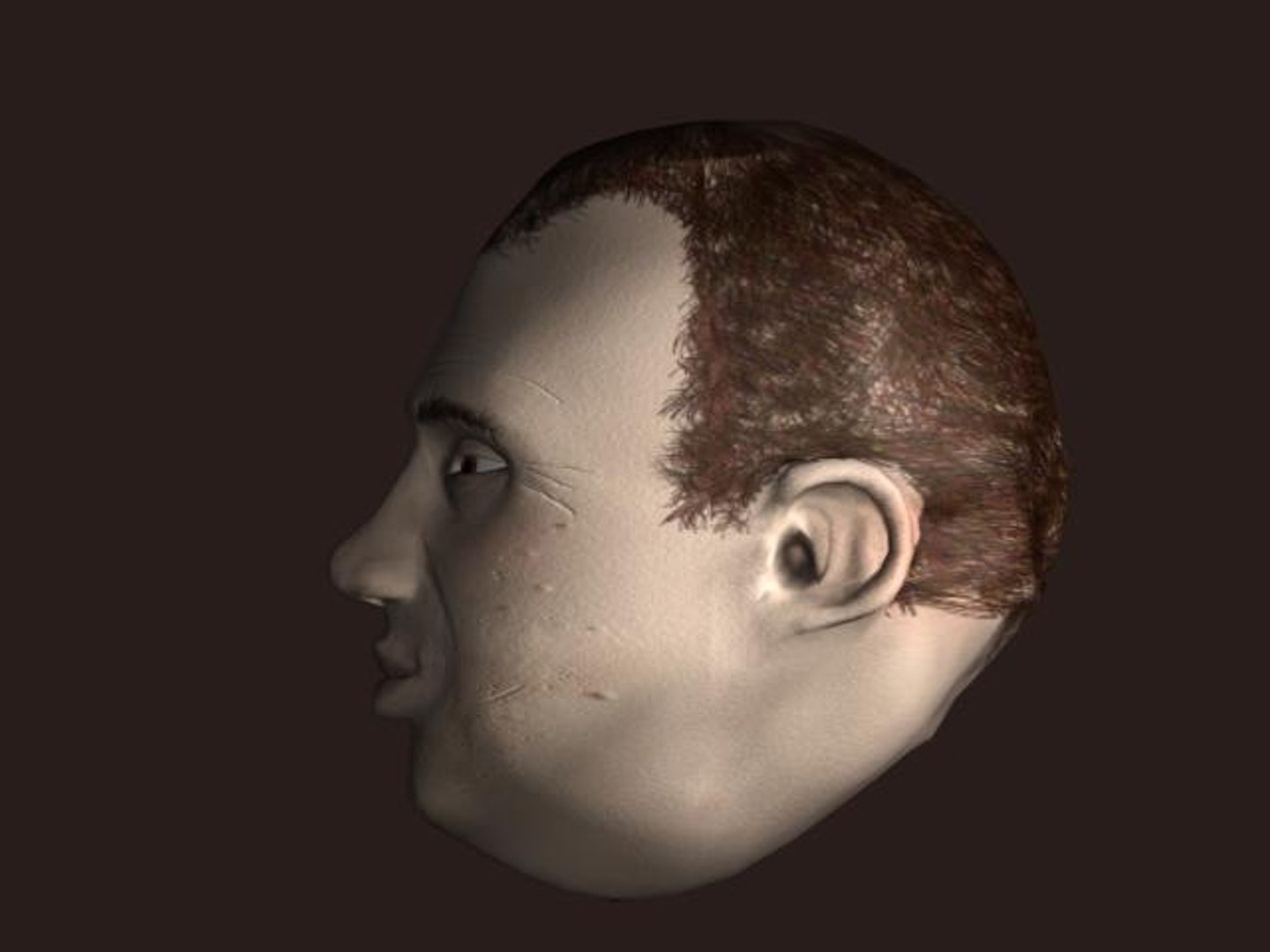 Head Al Capone 3d Model