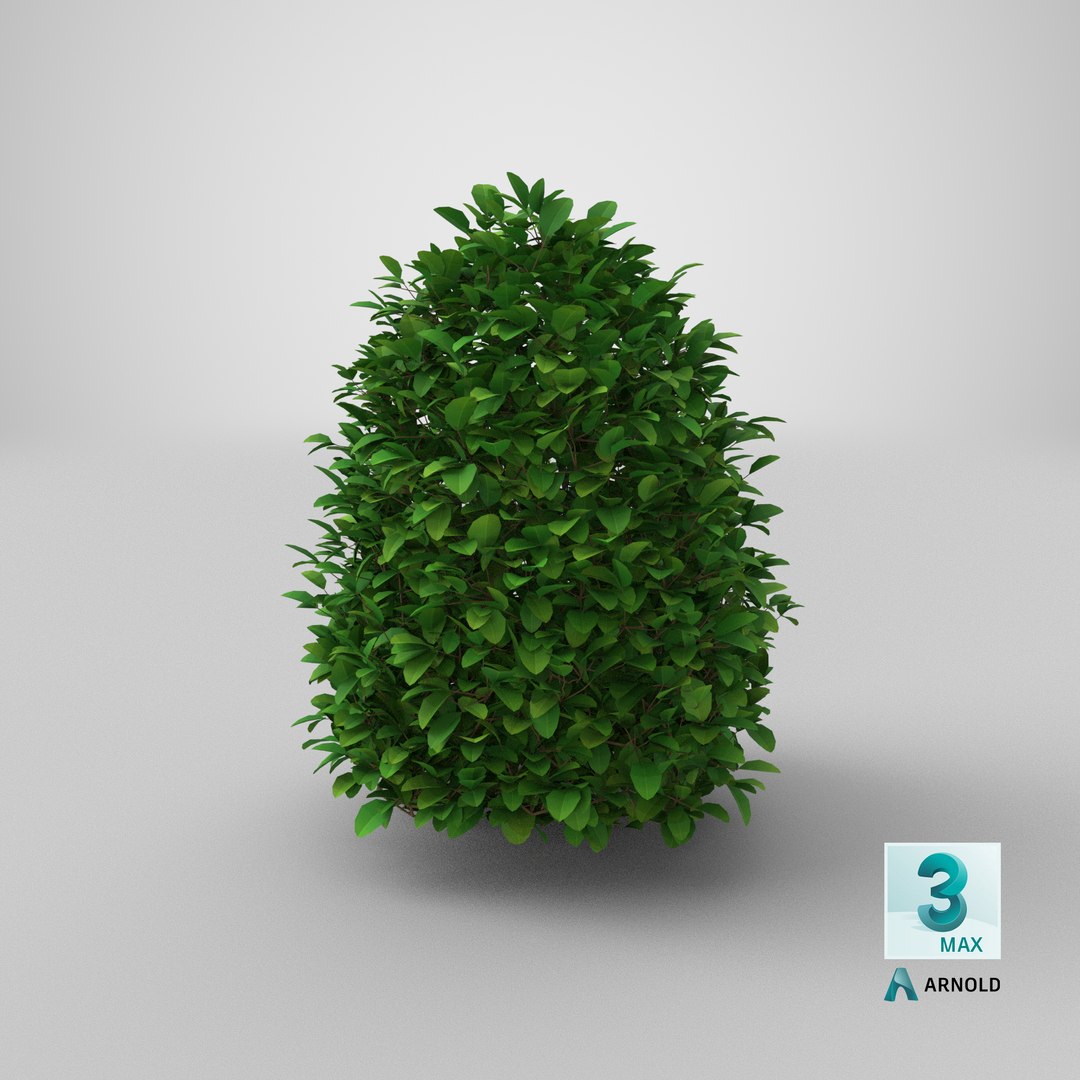Cartoon Bush 15 3D Model - TurboSquid 1941438