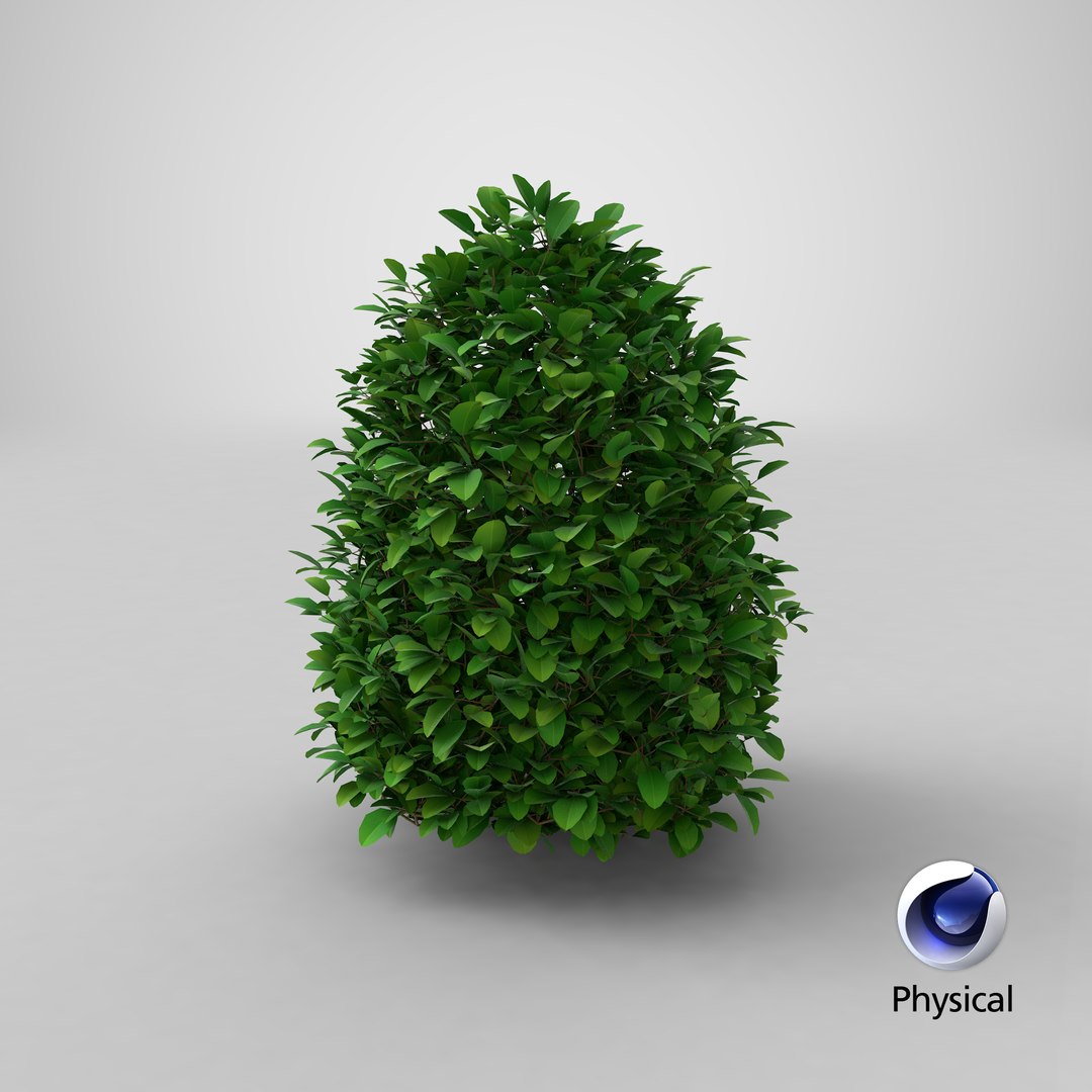 Cartoon Bush 15 3D Model - TurboSquid 1941438