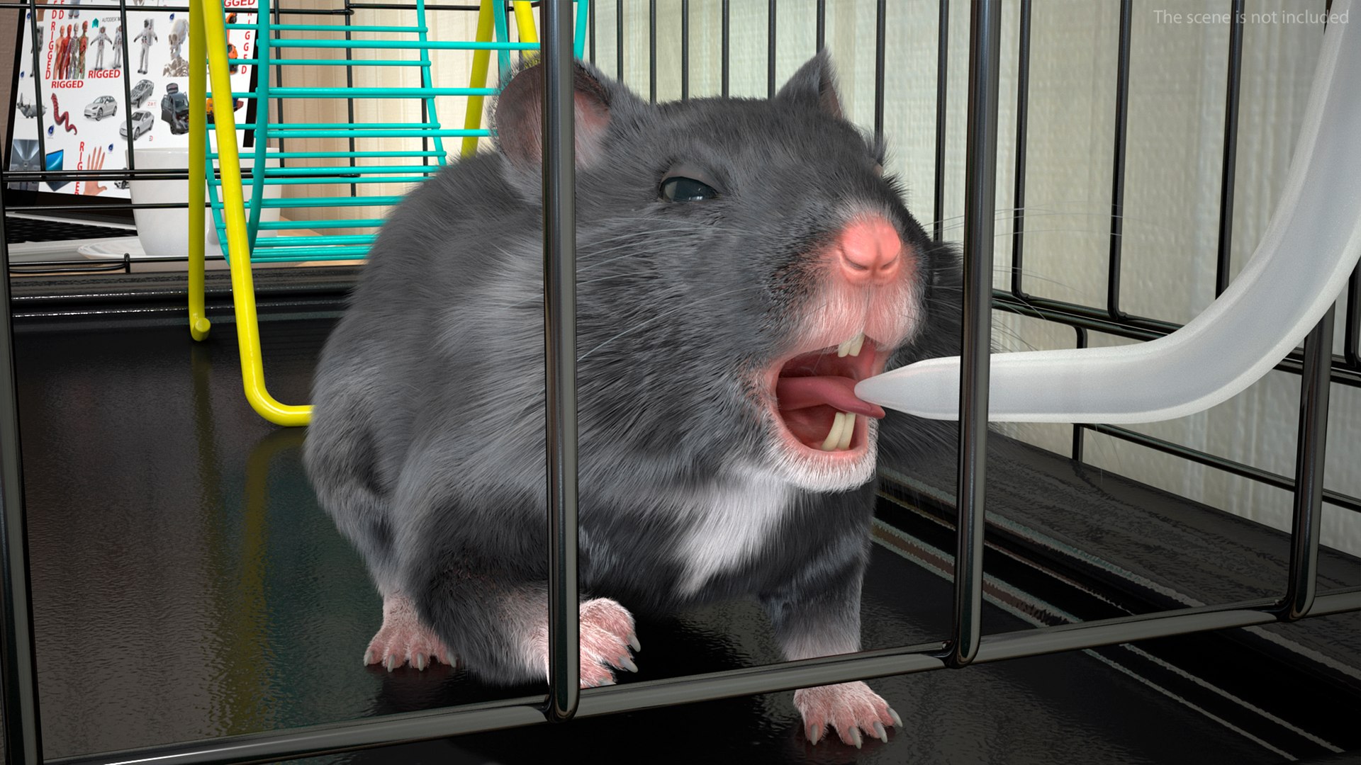 3D Syrian Hamster Black Rigged - TurboSquid 2050975
