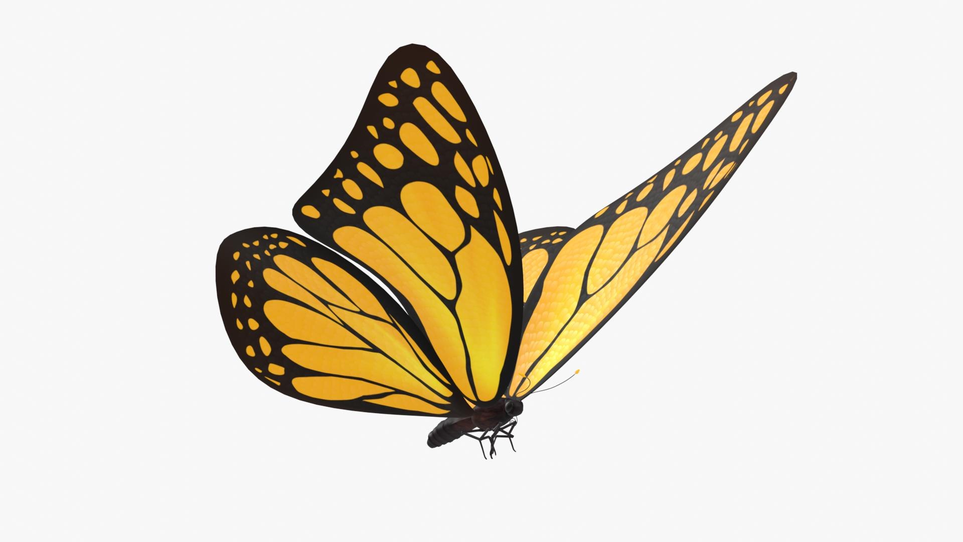 Butterfly With Flying Animation 3D - TurboSquid 1938871