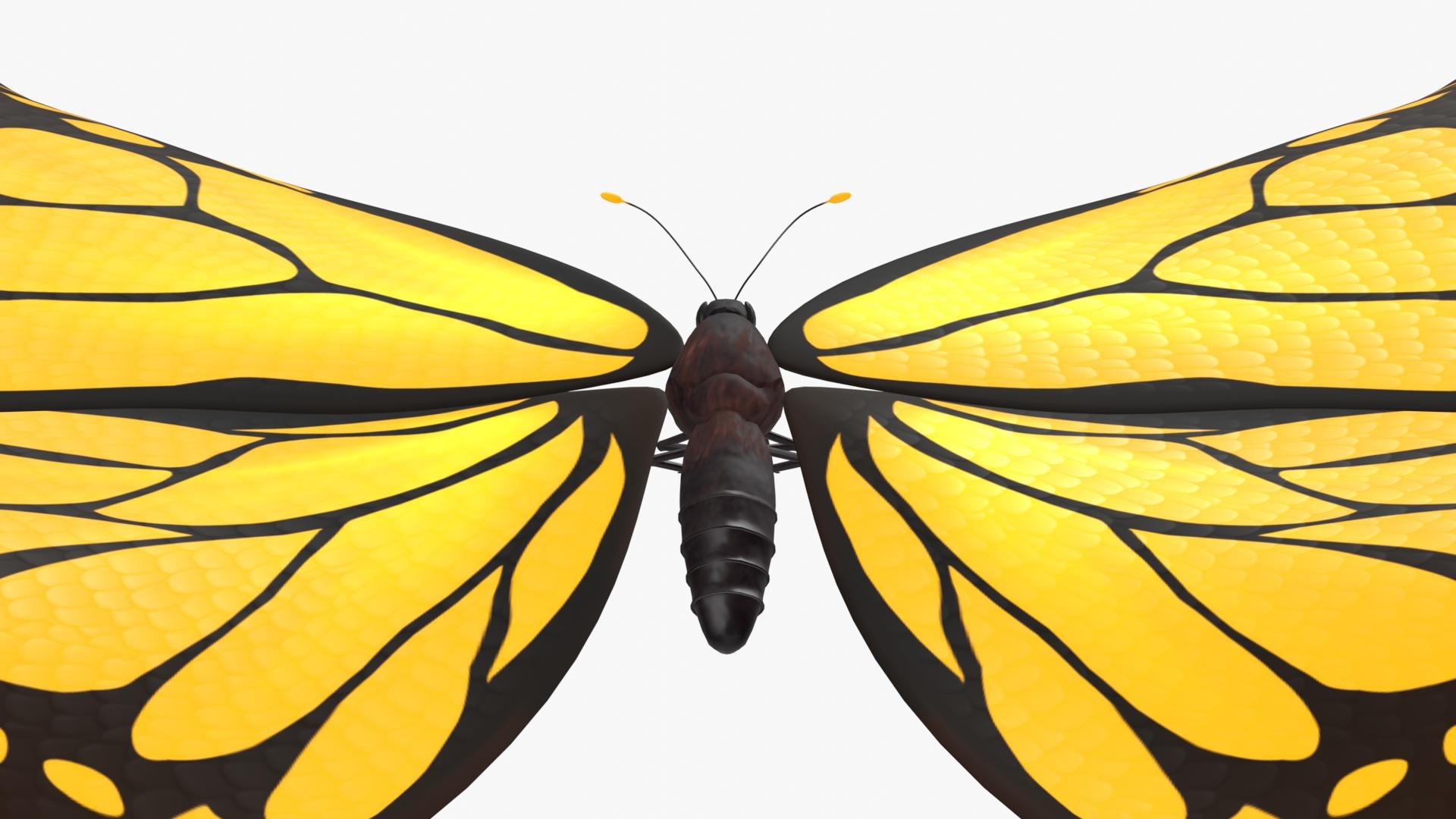 Butterfly With Flying Animation 3D - TurboSquid 1938871