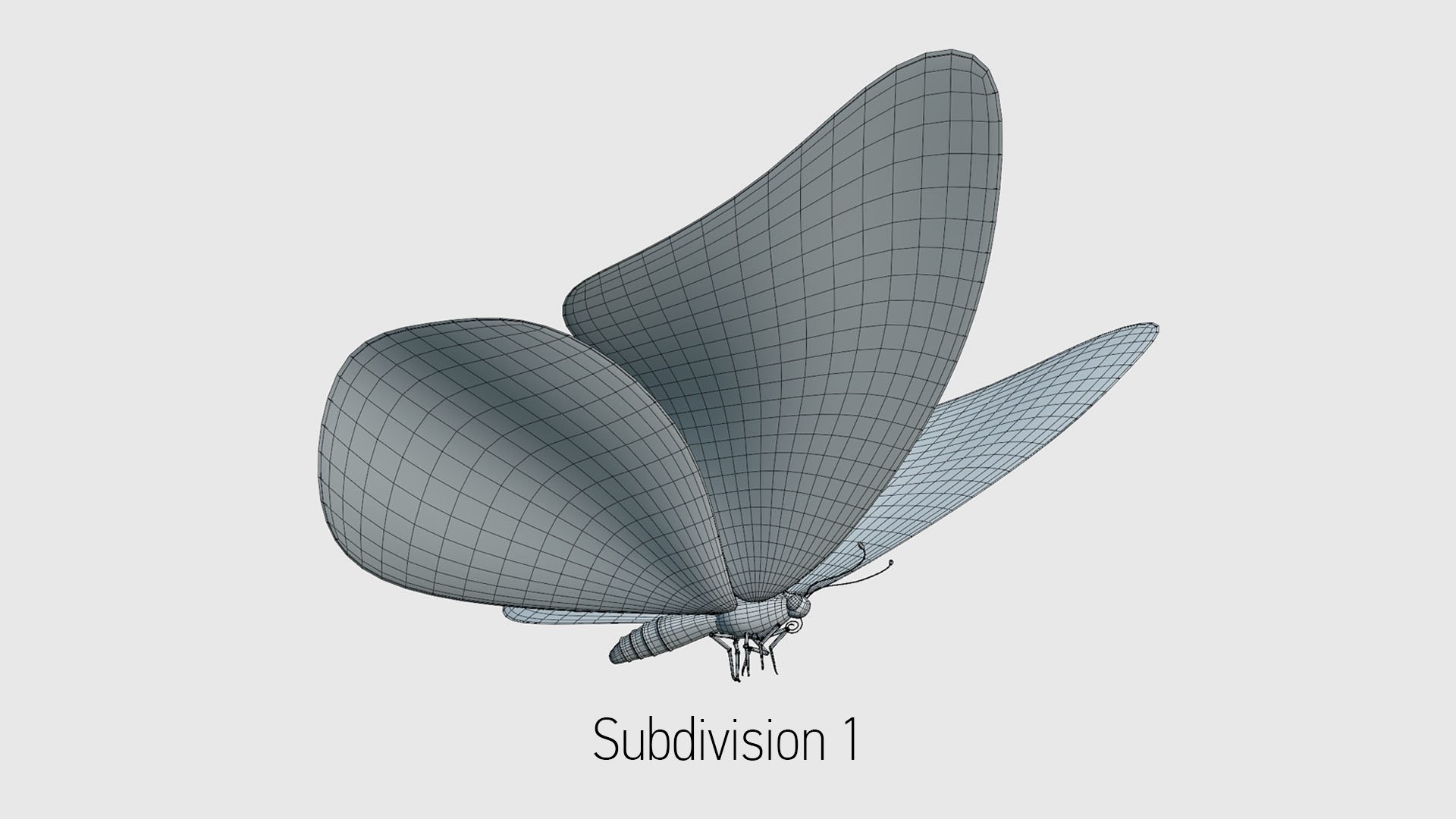 Butterfly With Flying Animation 3D - TurboSquid 1938871