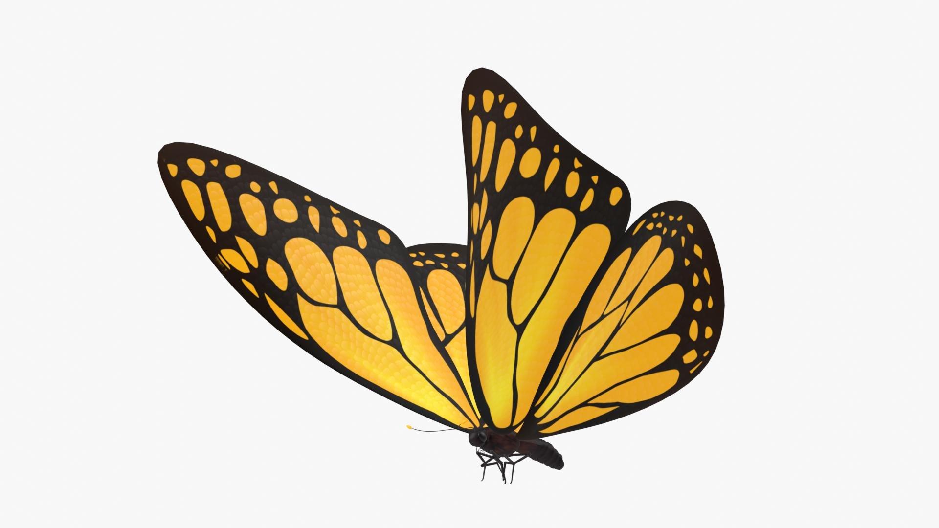 Butterfly With Flying Animation 3D - TurboSquid 1938871
