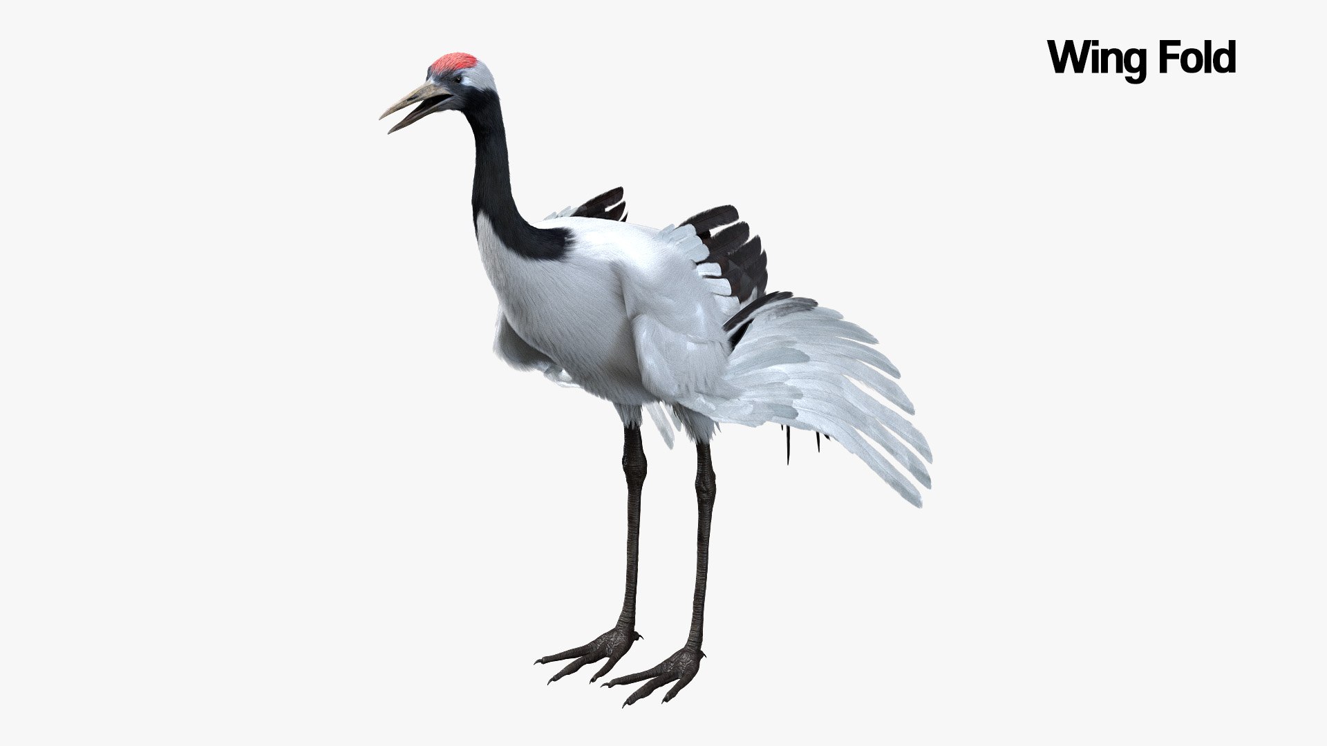 Rigging crane anatomy 3D model - TurboSquid 1523818