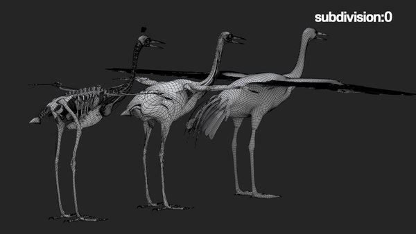 Rigging crane anatomy 3D model - TurboSquid 1523818