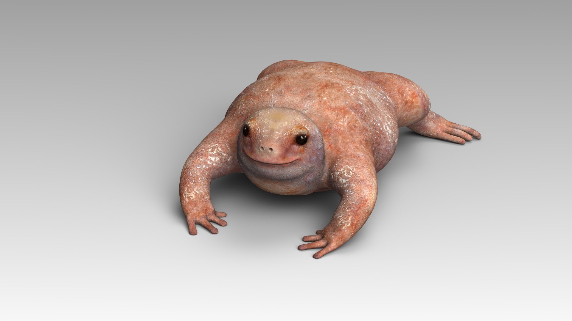 Frog Turtle 3D Model - TurboSquid 1498496