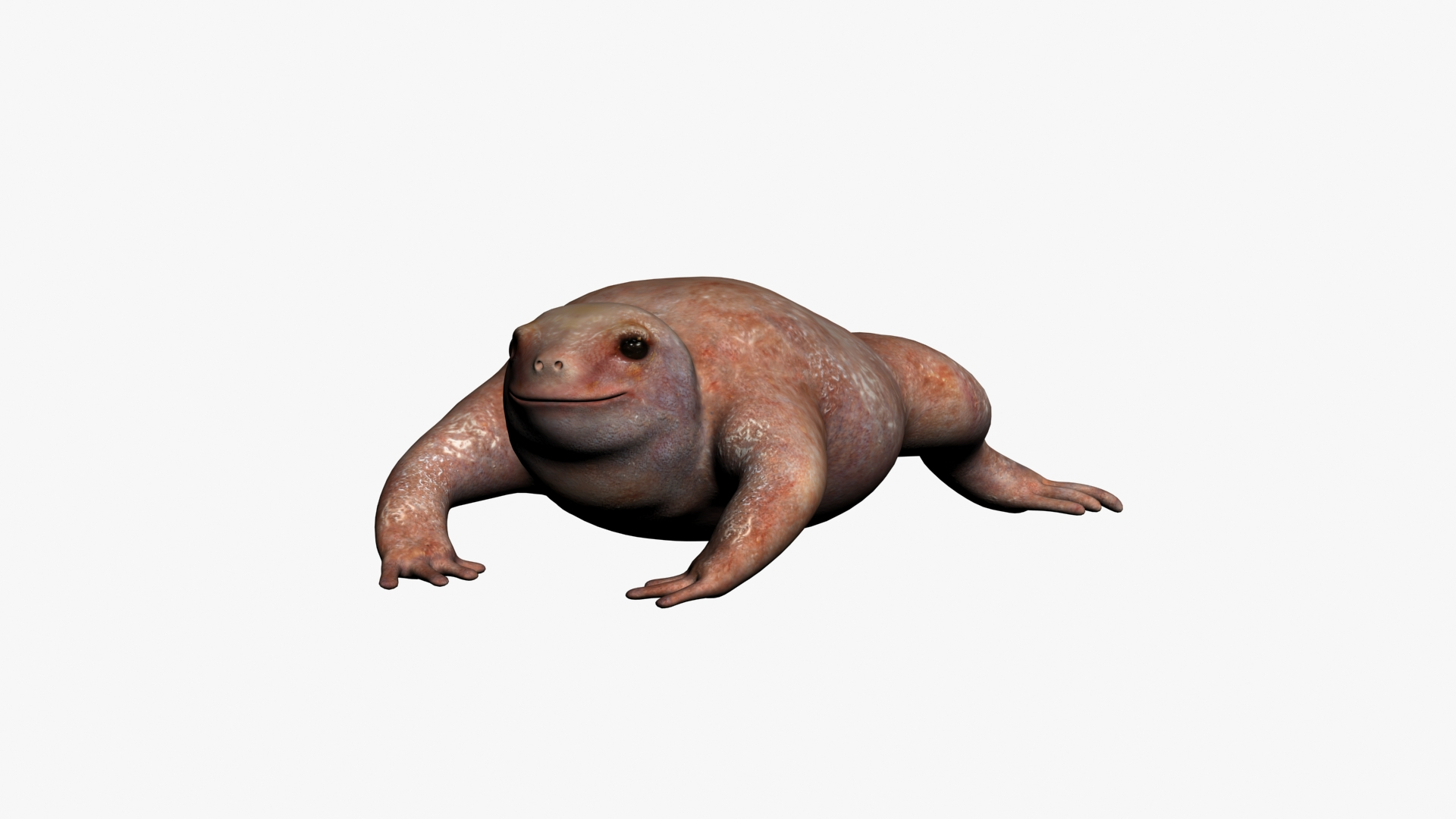 Frog And Turtle Combined