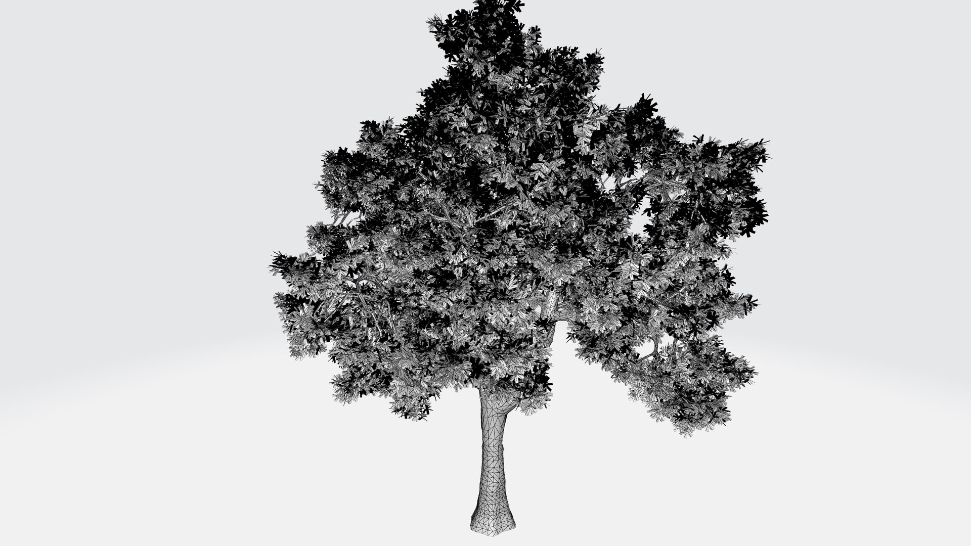 Wide Green Tree 3D - TurboSquid 1956136