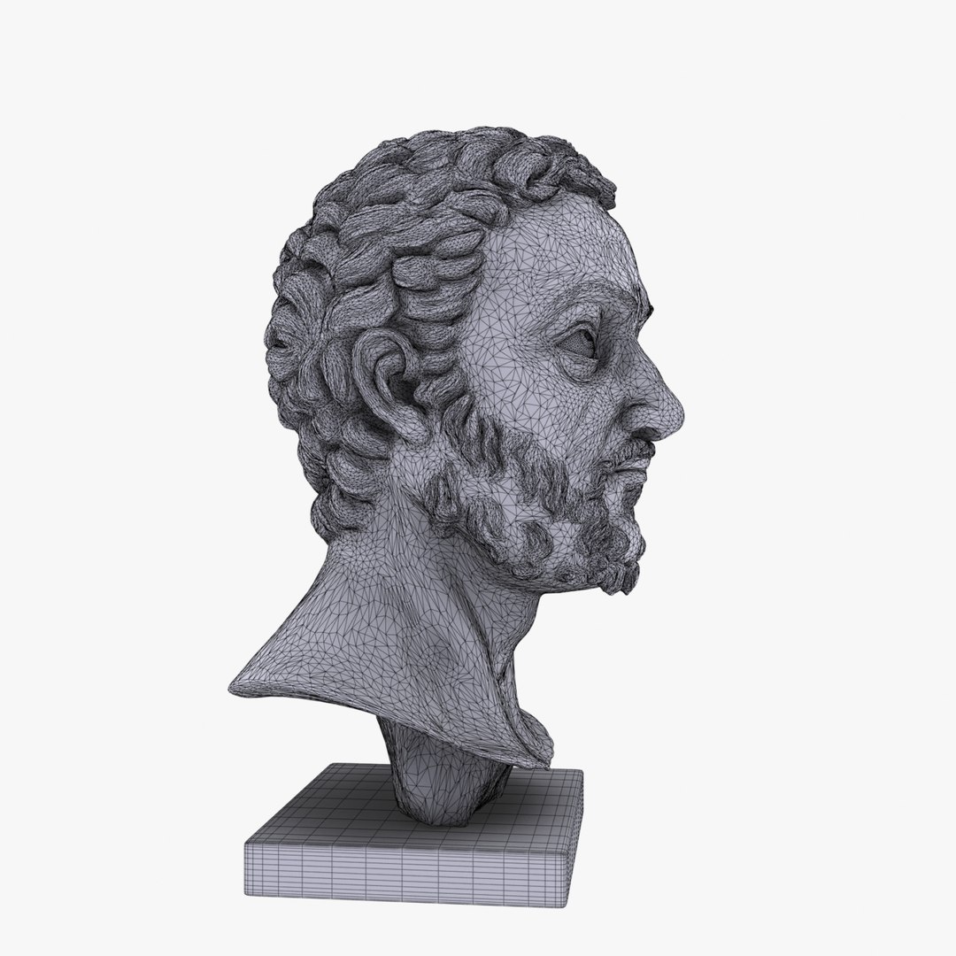 Bust Cosimo Cellini 3d Model