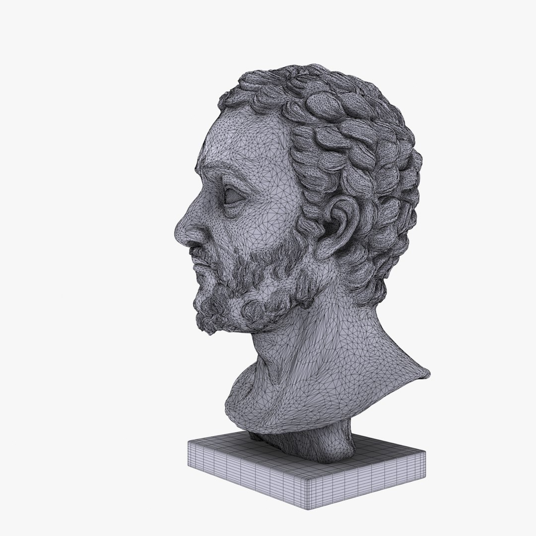 Bust Cosimo Cellini 3d Model