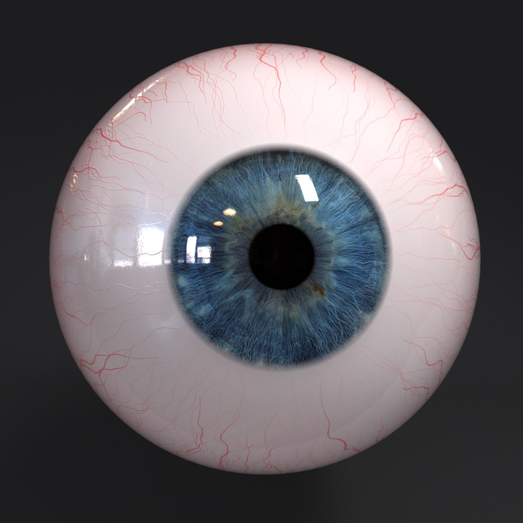 Realistic Huan Eye 3d Obj