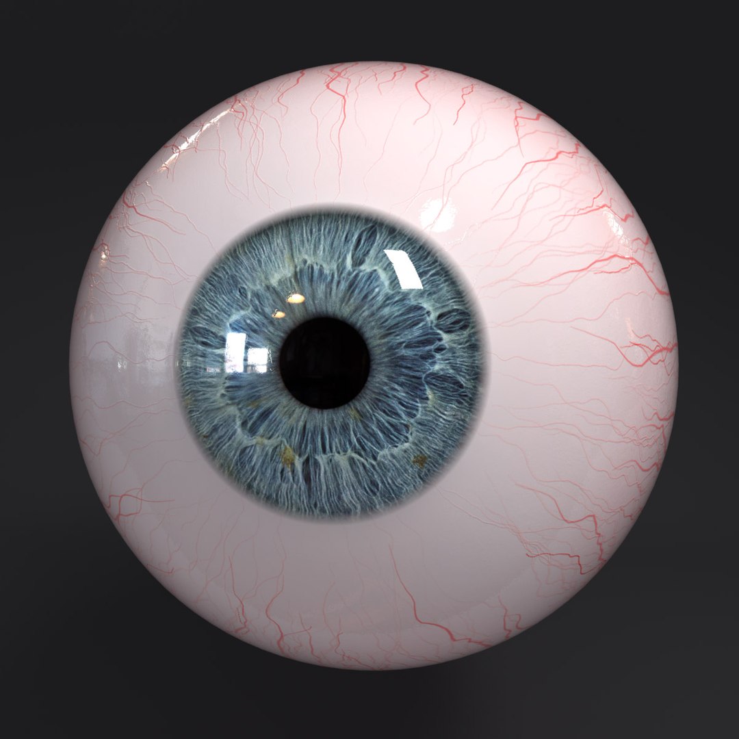 Realistic Huan Eye 3d Obj
