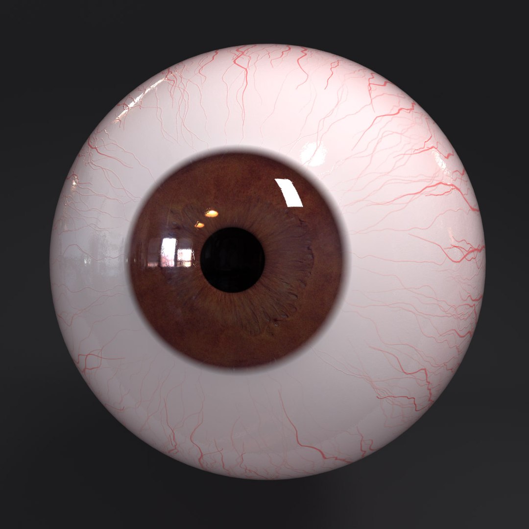Realistic Huan Eye 3d Obj