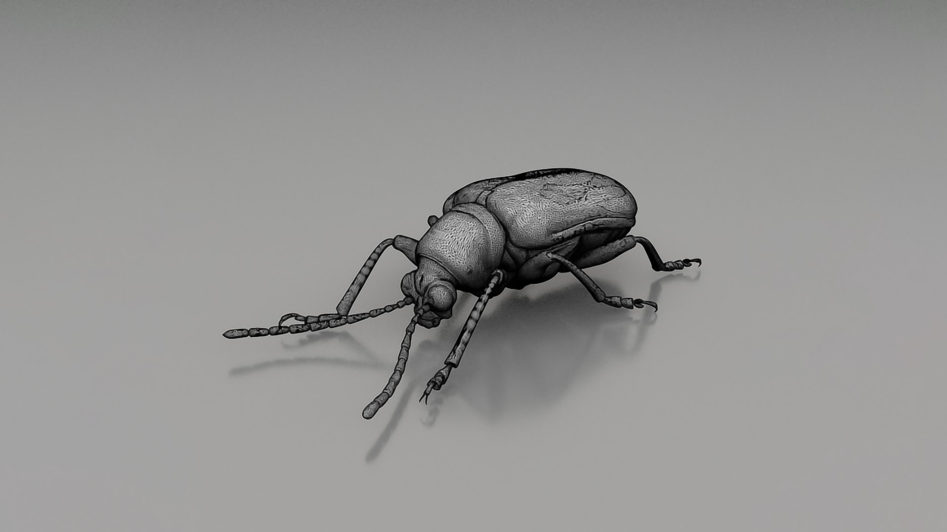 Realistic Insects Pack - Volume 03 3D Model - TurboSquid 2377061