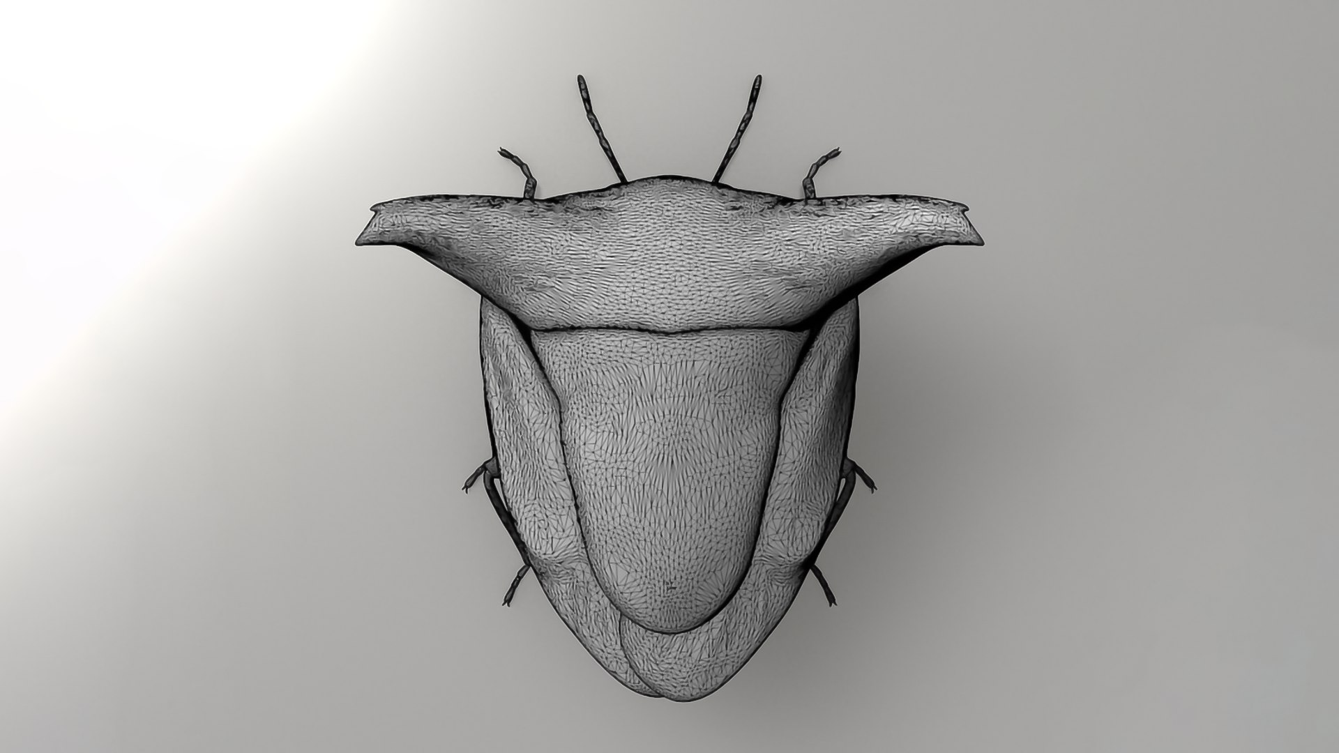 Realistic Insects Pack - Volume 03 3D Model - TurboSquid 2377061