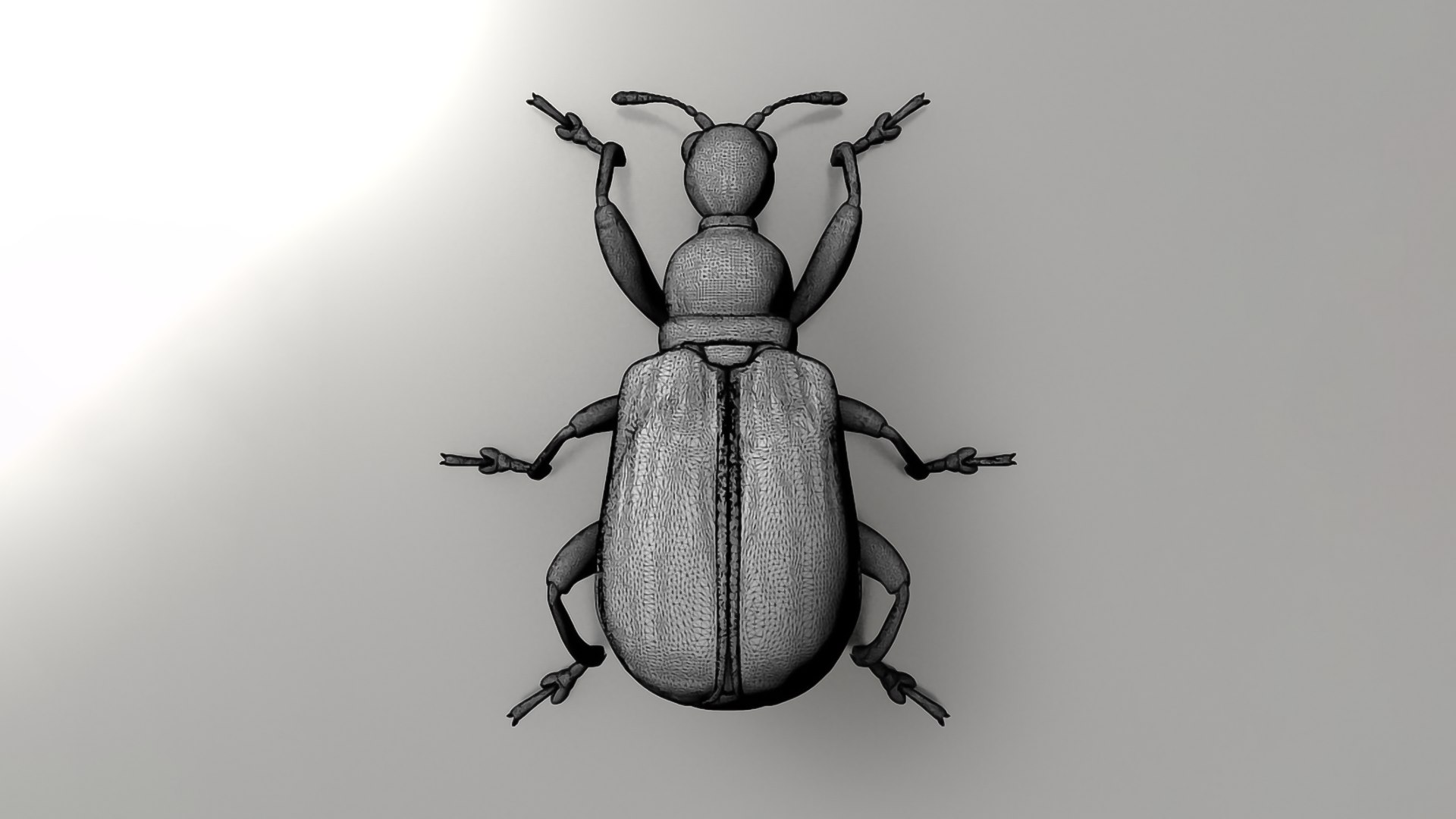 Realistic Insects Pack - Volume 03 3D Model - TurboSquid 2377061