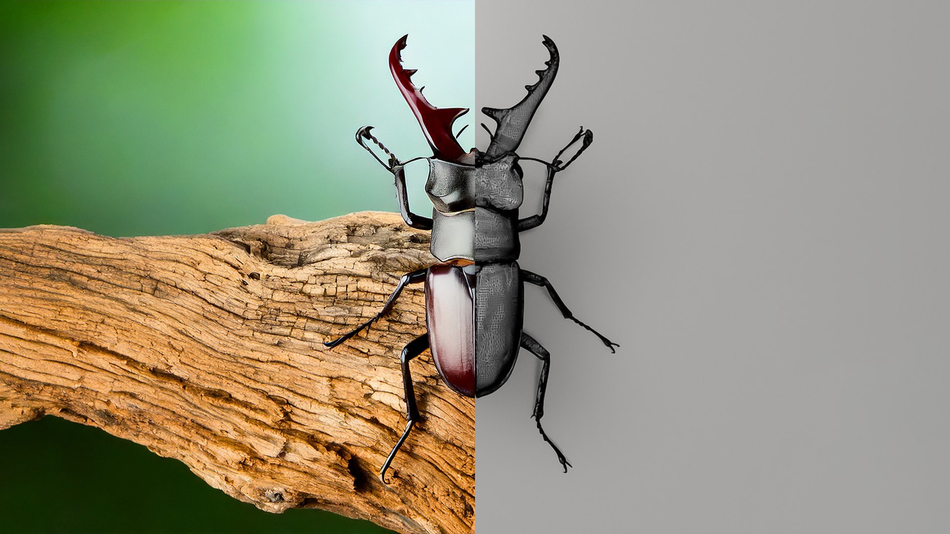 Realistic Insects Pack - Volume 03 3D Model - TurboSquid 2377061