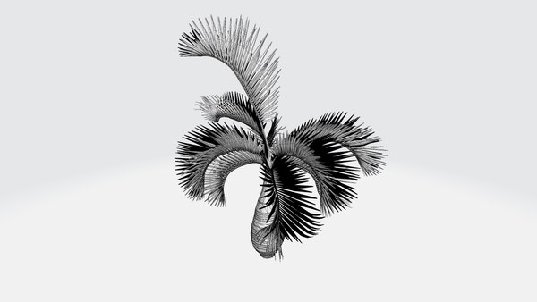 Ornamental plant v2 3D 모델 - TurboSquid 1955983